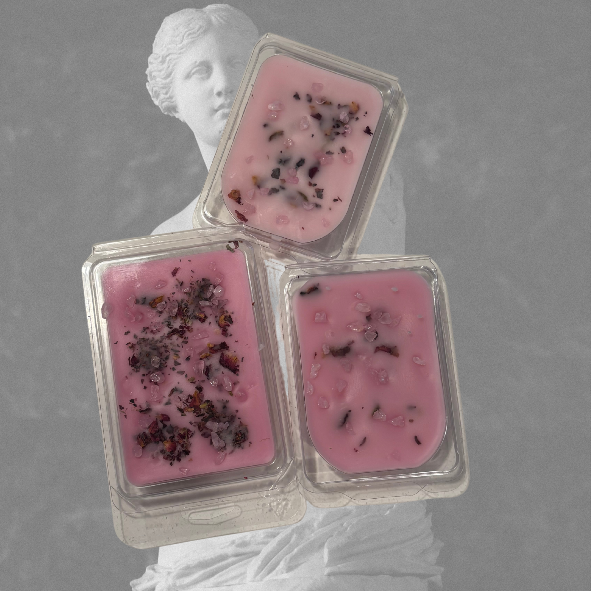Aphrodite Small Clamshell – The Oracle Teller